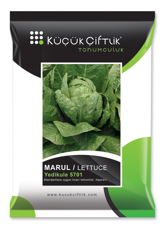 yeşil renkli ve geniş yapraklı bir marul çeşididir çok sıkı ve dik bir ...